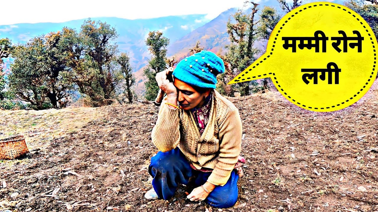 आज खेत में मम्मी रोने लगी || Pahadi Lifestyle Vlogs - YouTube