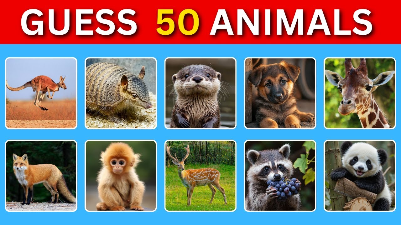 "50 Animal Quiz Questions 🦁 | Test Your Animal Knowledge!" - YouTube