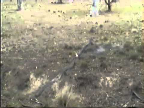 Vial of PLX Explosive - YouTube