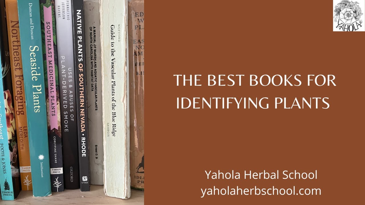 THE BEST BOOKS FOR IDENTIFYING PLANTS! - YouTube