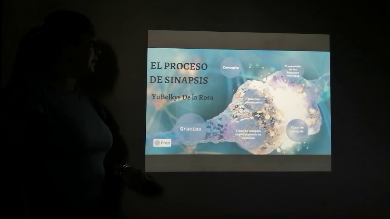 El proceso de sinapsis - YouTube