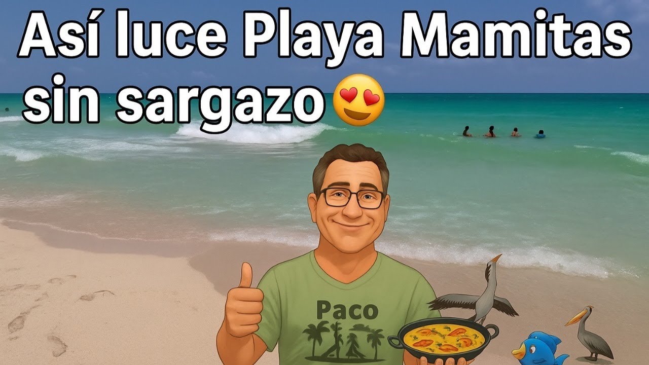 Así luce Playa Mamitas sin sargazo 😍 Paseo por la 5ta Avenida y tomas con dron | Playa del ...