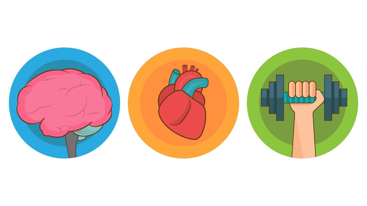 Positive psychology (Part 6) - The three brains - YouTube