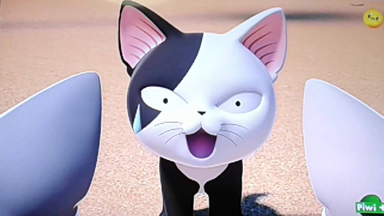 Chi mon chaton épisode 19 : noiraud fait sa ronde - YouTube