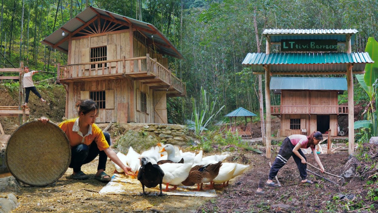 full video: making camp gates, building bridges, grazing ducks - 200 ...