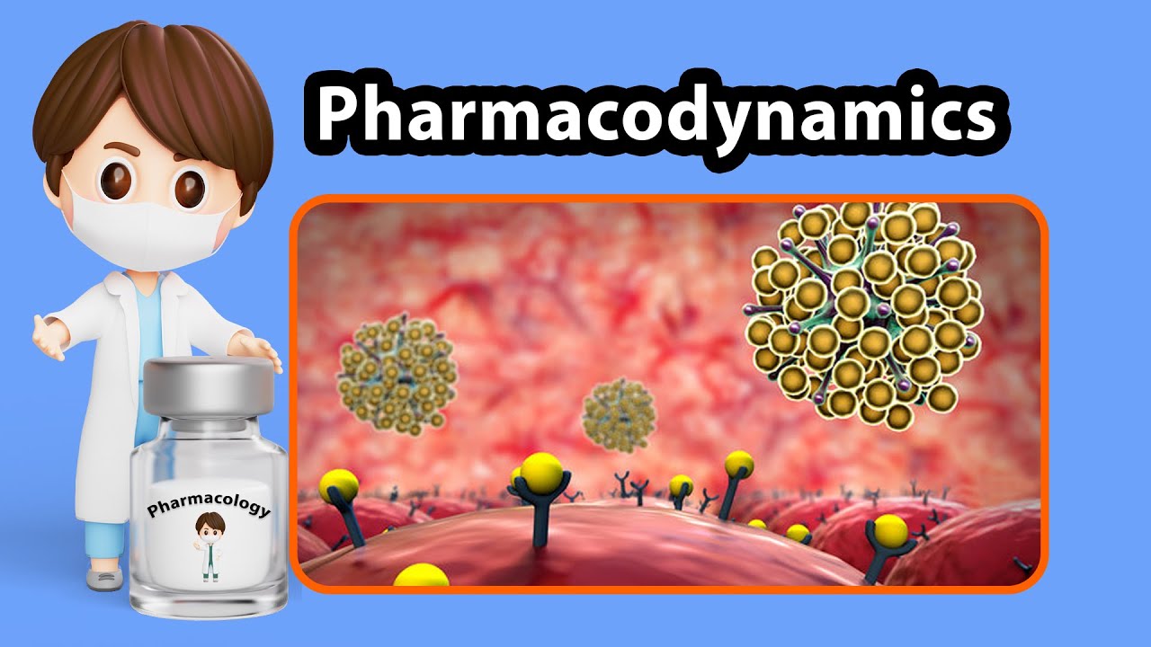 Pharmacodynamics / فارماکودینامیک (Pharmacology #5) - YouTube
