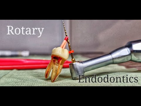 Rotary Endodontics - YouTube