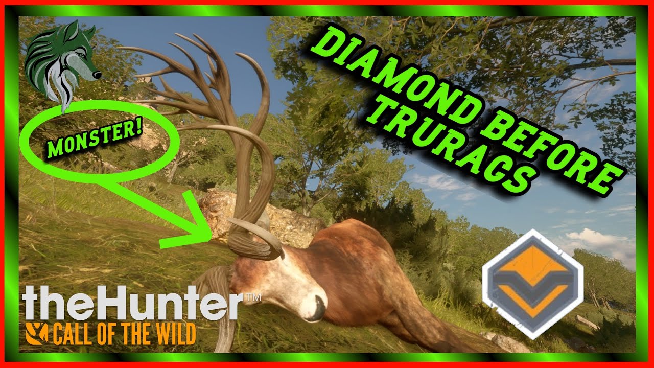 DIAMOND BIG RACK RED DEER BEFORE TRURACS (TRURED) + ALBINO AXIS ...