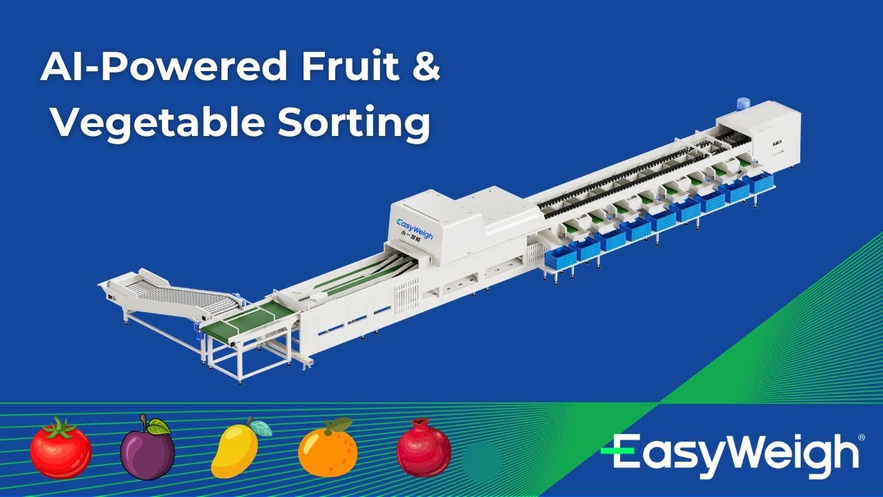 Easyweigh AI-Powered Fruit & Vegetable Sorting Machine | Smart Fruit ...