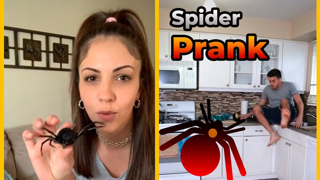 Funniest Moments In Scary Spider Prank 2020 - YouTube