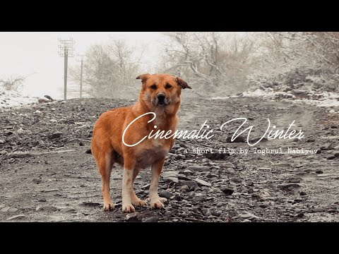 Cinematic Winter Gabala❄️ | HD film Dramatic