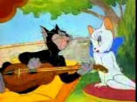 Tomi Jeri Hovo Namak.3gp - YouTube