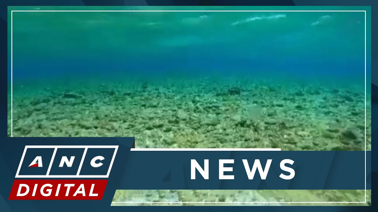 PH Coast guard: No more signs of life found on Rozul reef, Escoda shoal ...