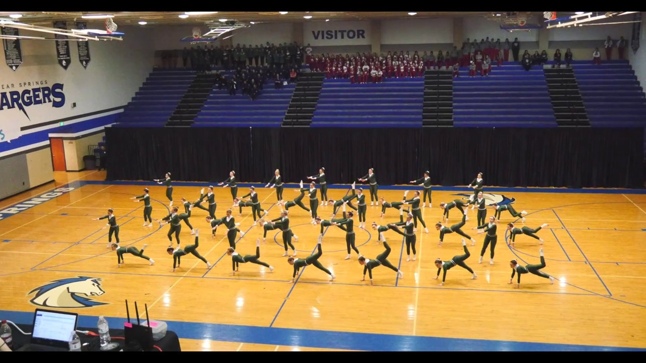Crowd Pleasers Dance Competition - TWHS Highsteppers Team Open - YouTube