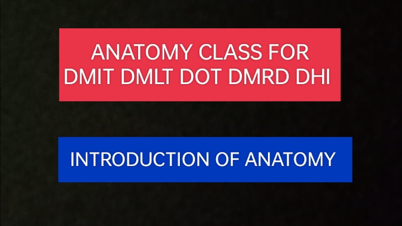 ANATOMY CLASS FOR DMIT DMLT DHI DOT DMRD. - YouTube