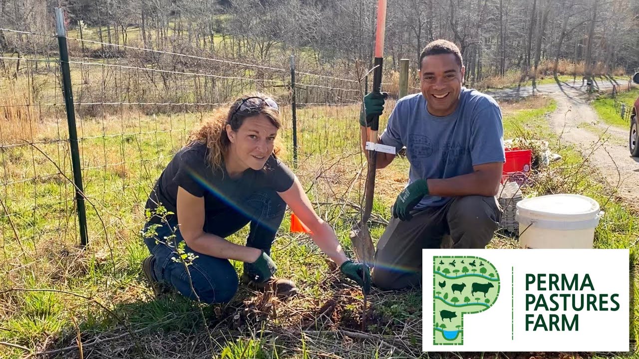 Long Term Food Security (Planting Fruit Trees) - YouTube