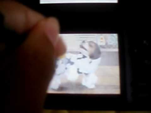 Nintendogs How to bath your dog (Cachochi) - YouTube