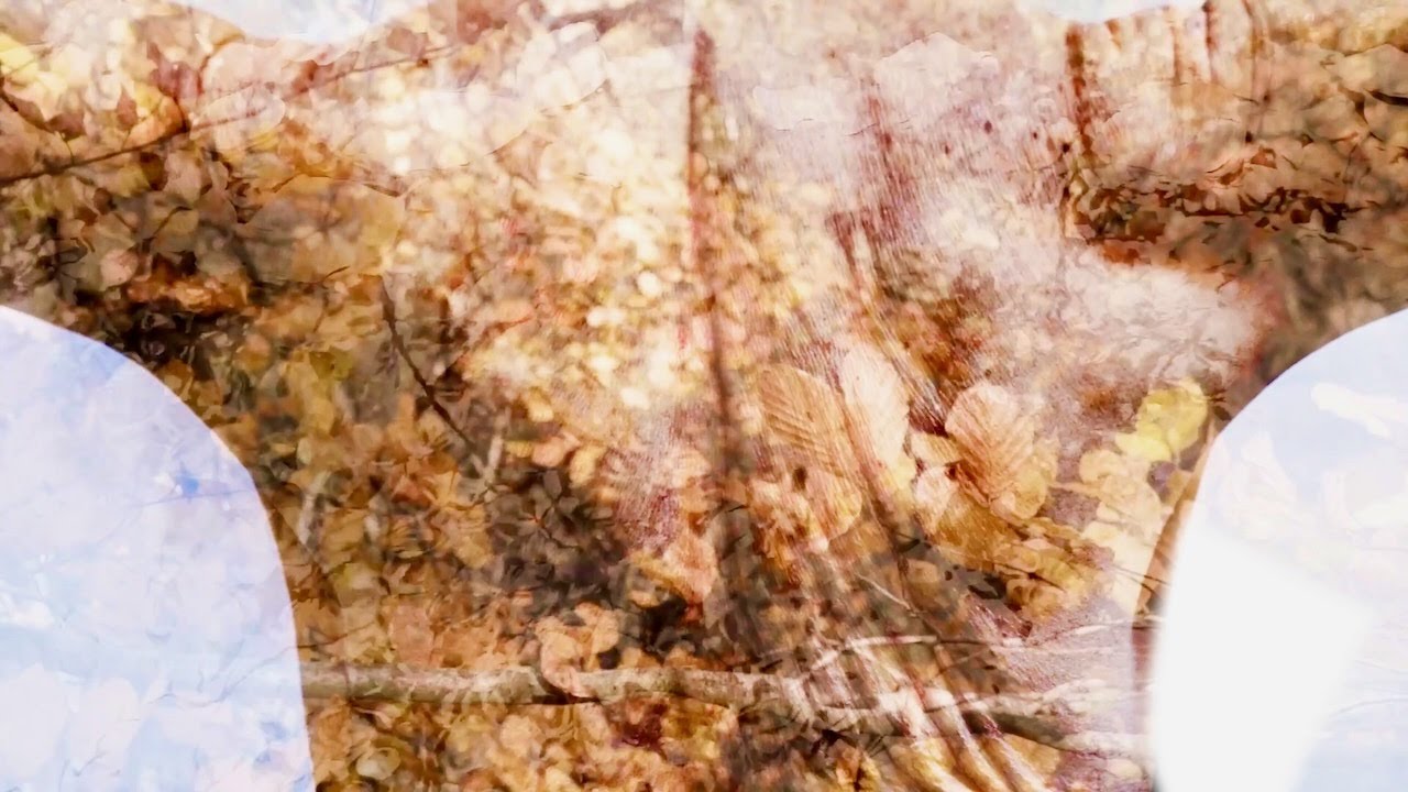 This River - Laura Hope Steckler Body/Theatre - YouTube