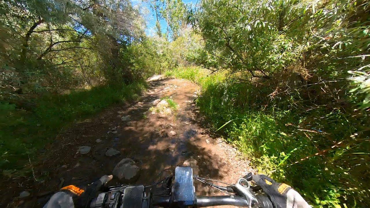 THAT IS IT! THEY RAN OVER MY PHONE? Part 6 - YouTube