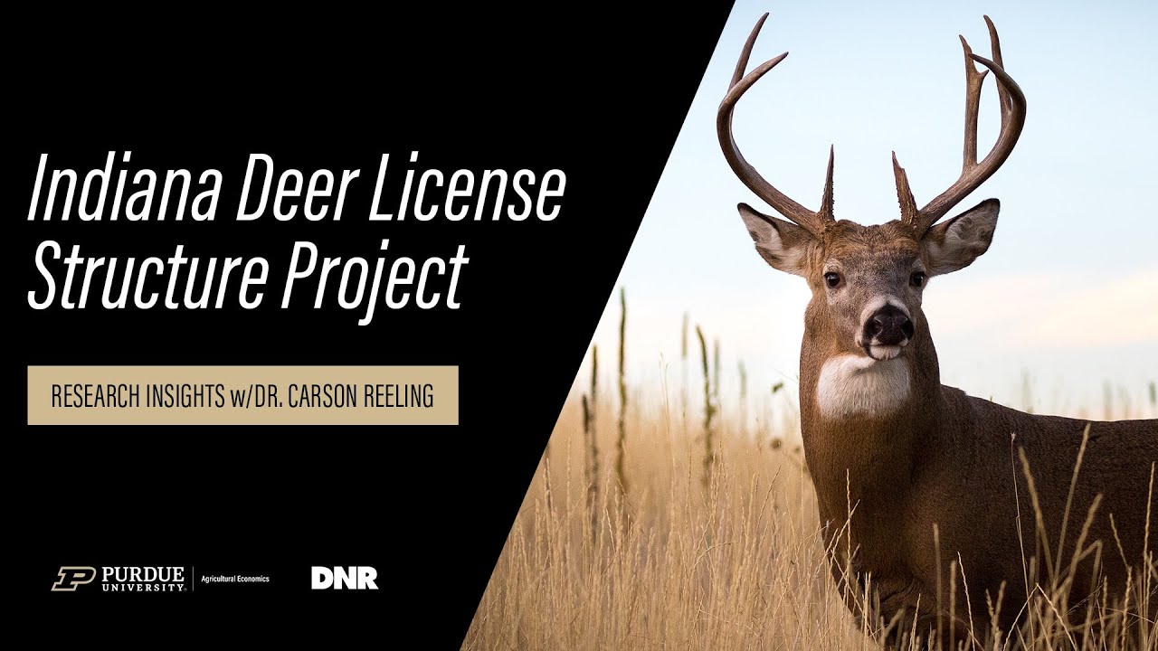 Indiana DNR License Structure Project w/Carson Reeling - YouTube