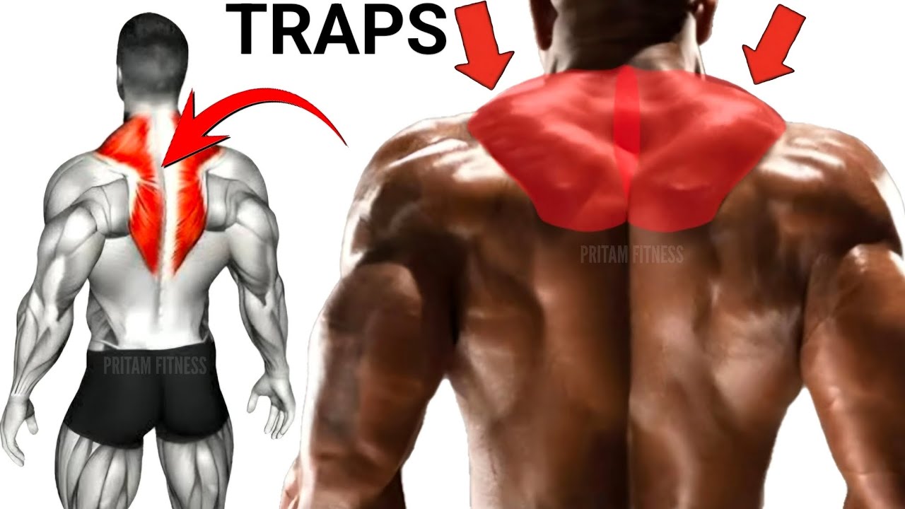 Do This Trapezius Workout - 5 Best Traps Exercises Routine - YouTube