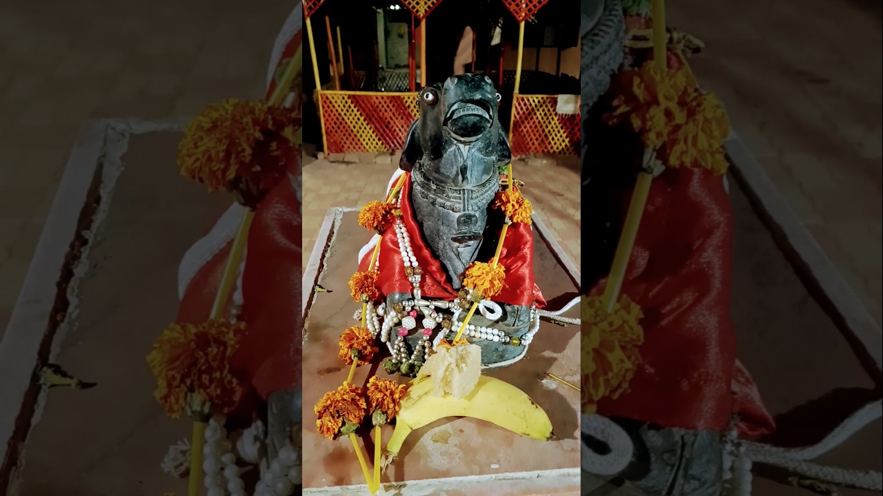 Joy vole nath - YouTube