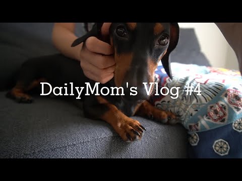 Daily Vlog Indonesia | 32 Weeks Pregnant | Tom Yam | Fried Chicken | Beef Enoki Roll | Lemon Cake
