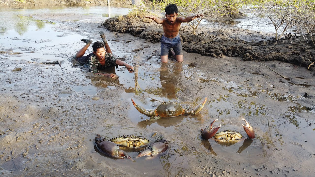 Fishing Unique - King Crabs Catching After Low Tide | Traditional ...
