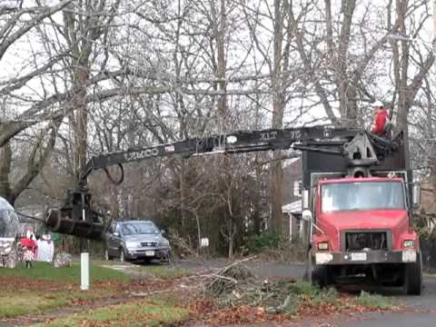 Branch/Brush-Grabber in action - YouTube