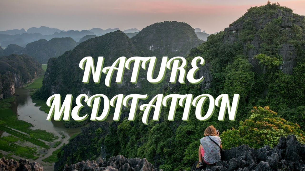 Nature Sounds of a Forest River for Relaxing | Natural meditation - YouTube