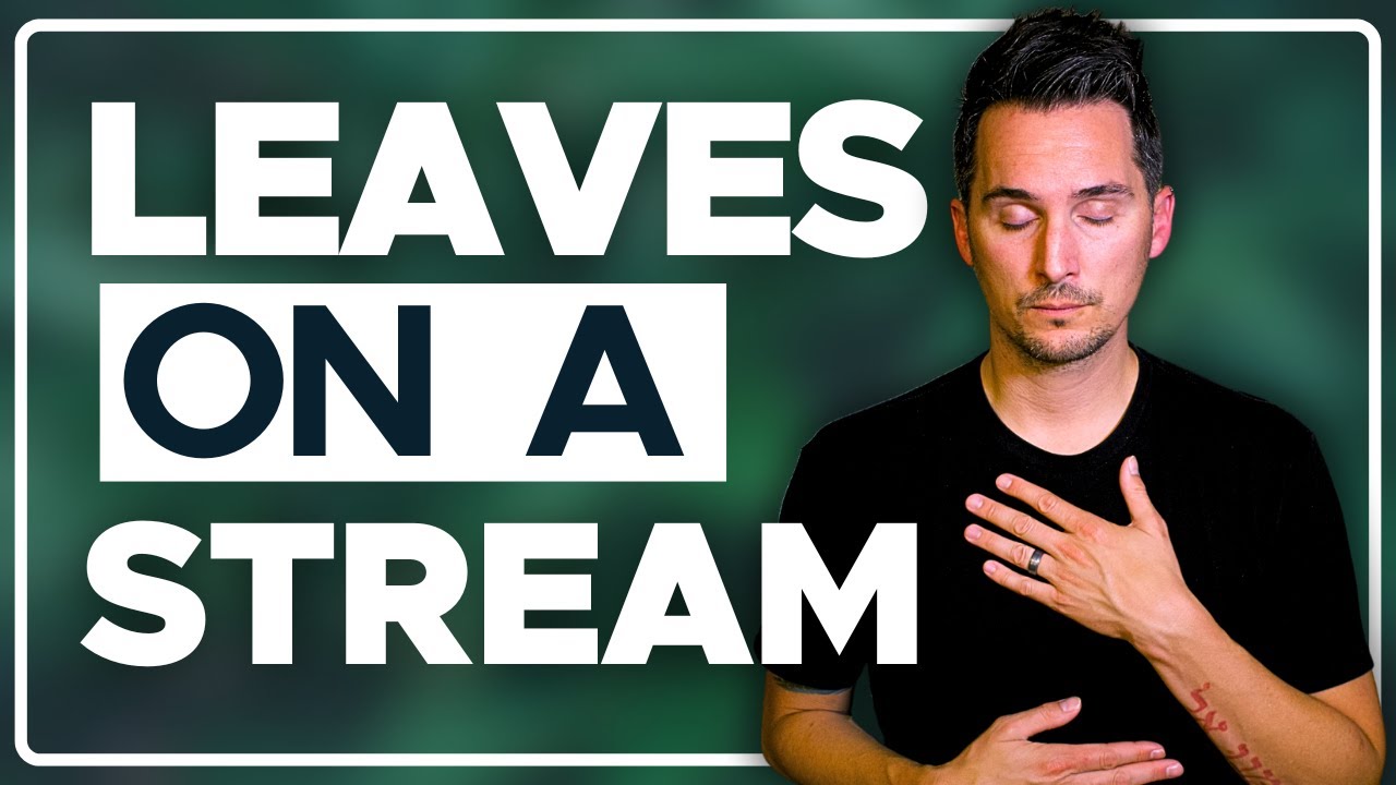 Leaves On A Stream: Guided 10 Minute Meditation - YouTube