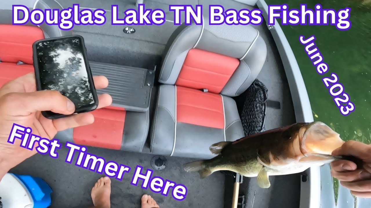 Douglas Lake Tennessee Bass Fishing June 2023 - YouTube