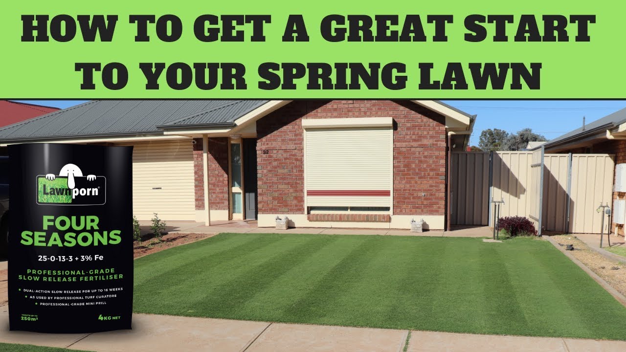 How to get a great start to your spring lawn - YouTube