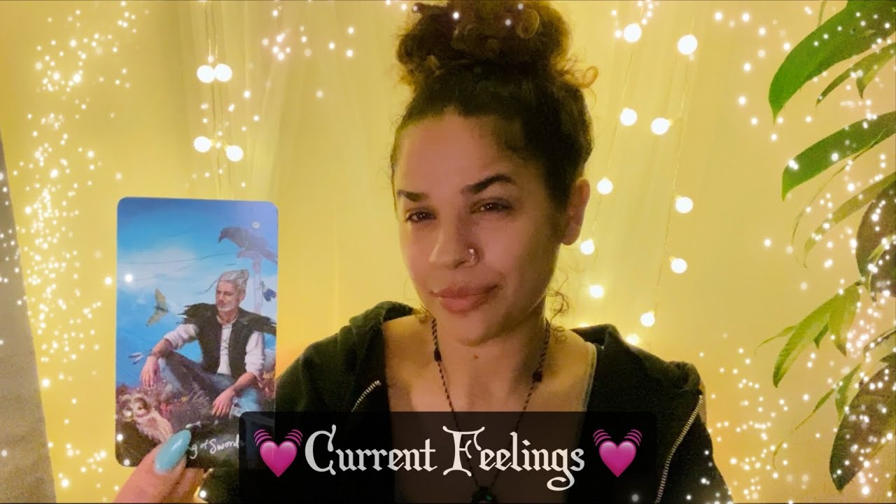 LEO ♌️ Making it Reign🙃: Exciting Developments Await as Destiny Bows to ...