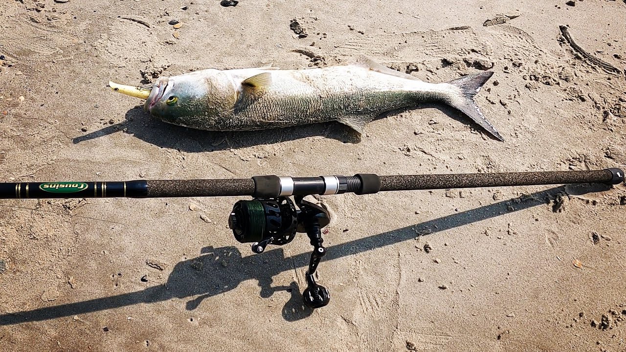 Ron Arra Lamiglas / Cousins Fishing rod comparison : Surf Casting for ...