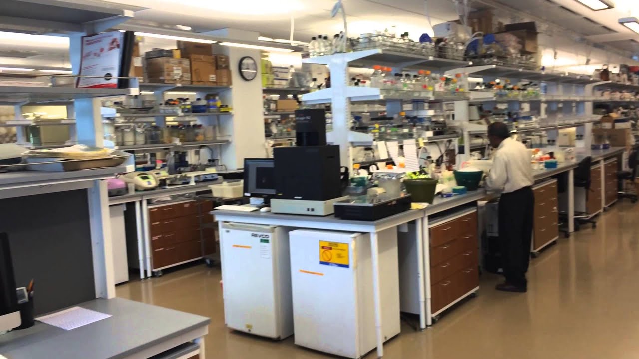 Wistar Institute Tour - YouTube