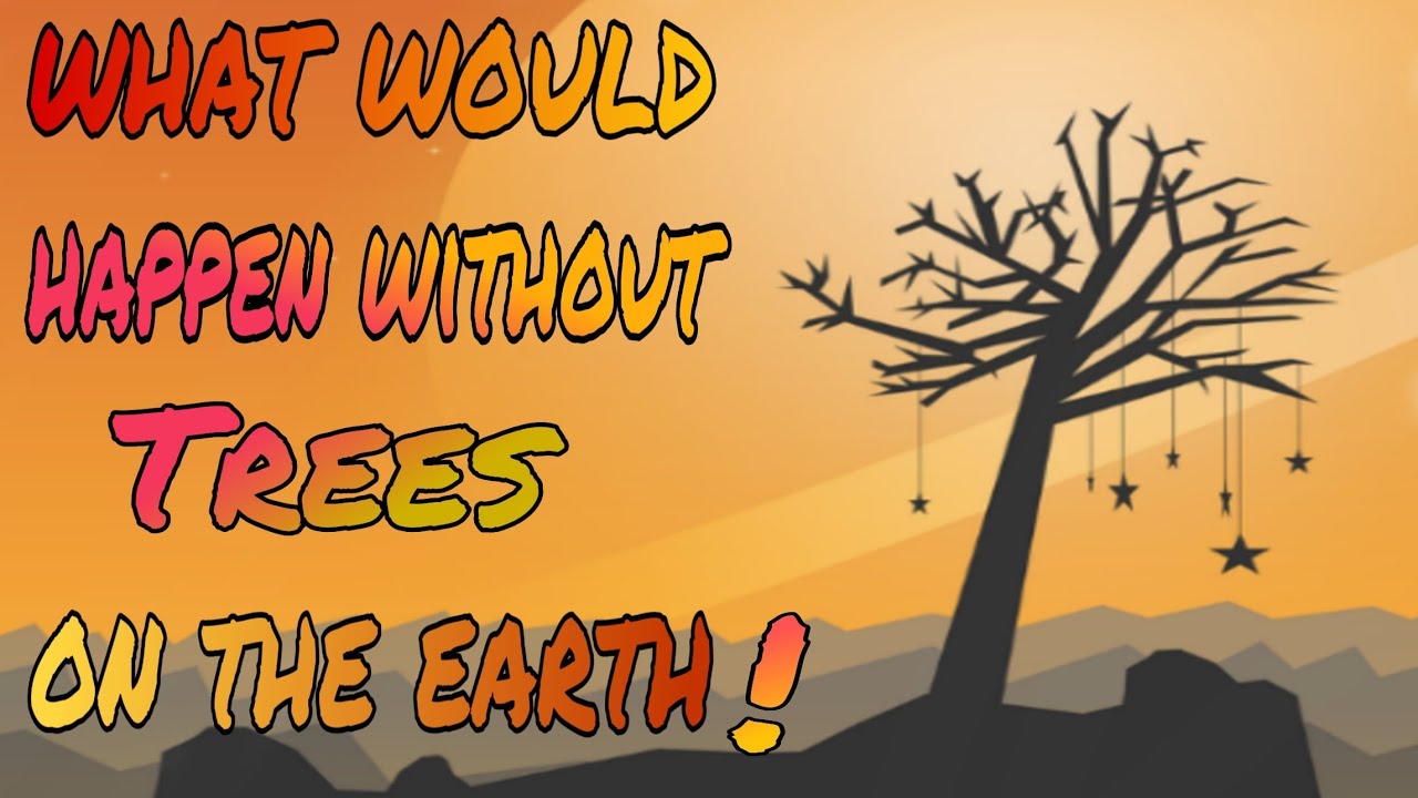 Fact about the trees. What would happen when all the trees available on ...