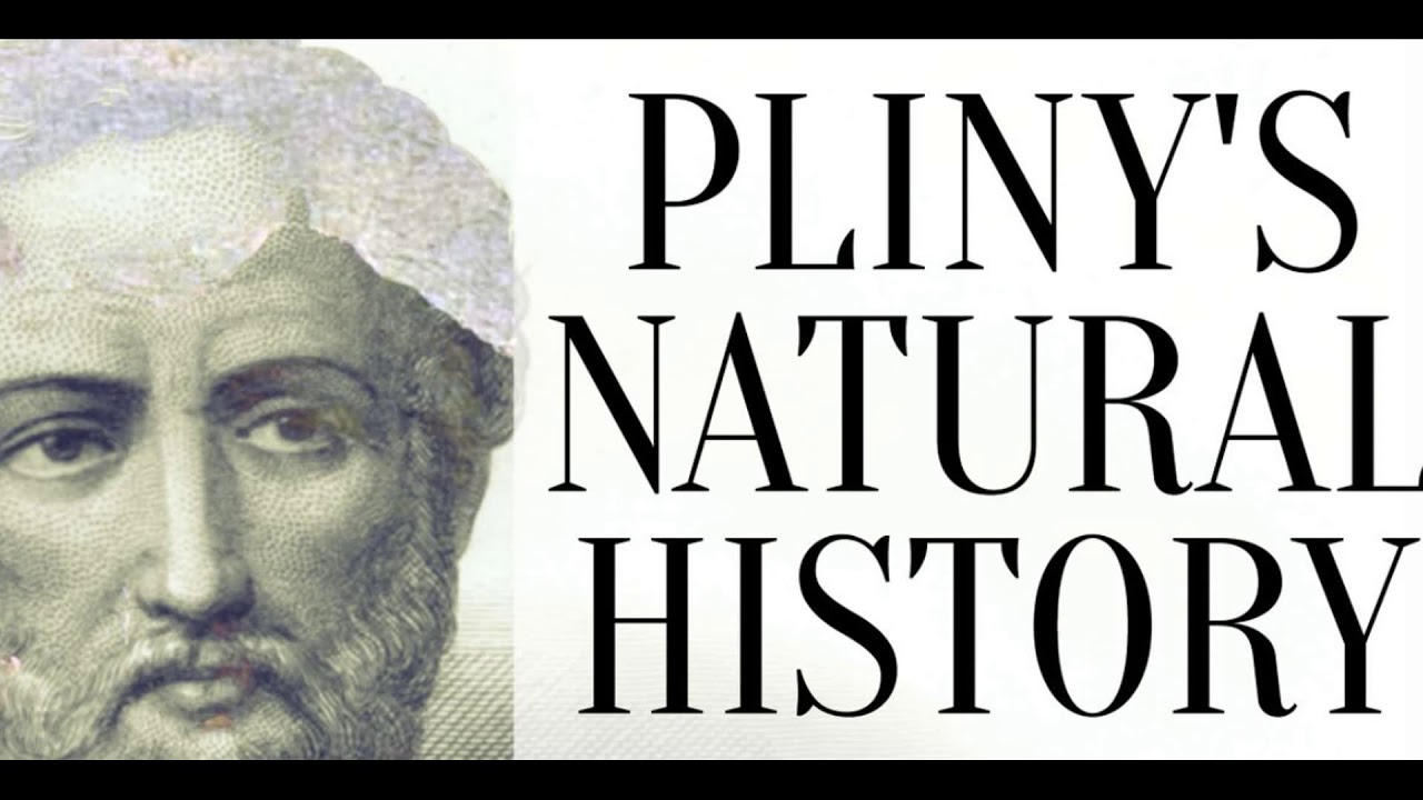 Pliny the Elder (Latin: Gaius Plinius Secundus) - YouTube