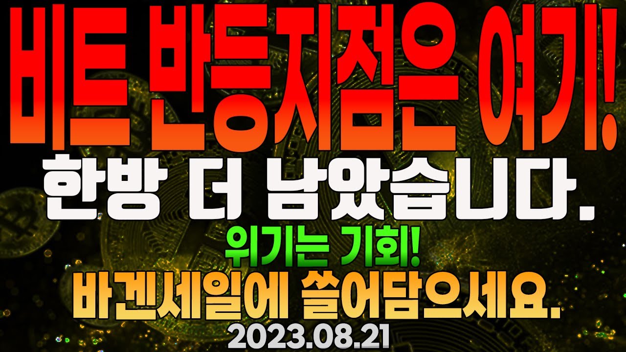 비트코인 반등은 여기서 터집니다 위기는 기회 바겐세일에 쓸어담으세요 리플 도지코인 체인링크는 25875는 지켜야