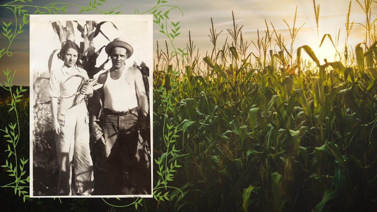 Wonderful Vintage Photos Of Country Living | Old Photo Album Find - YouTube