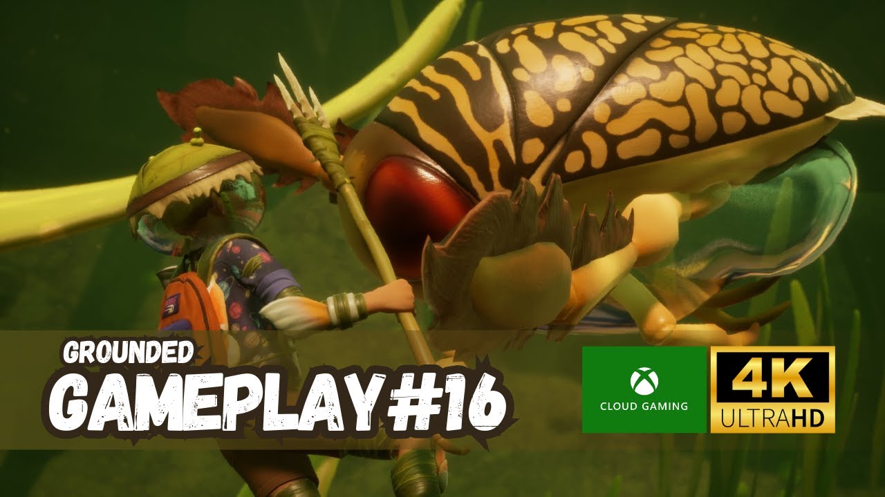 GROUNDED | WALKTHROUGH GAMEPLAY VIA XCLOUD ( XBOX CLOUD GAMING ) | NO ...