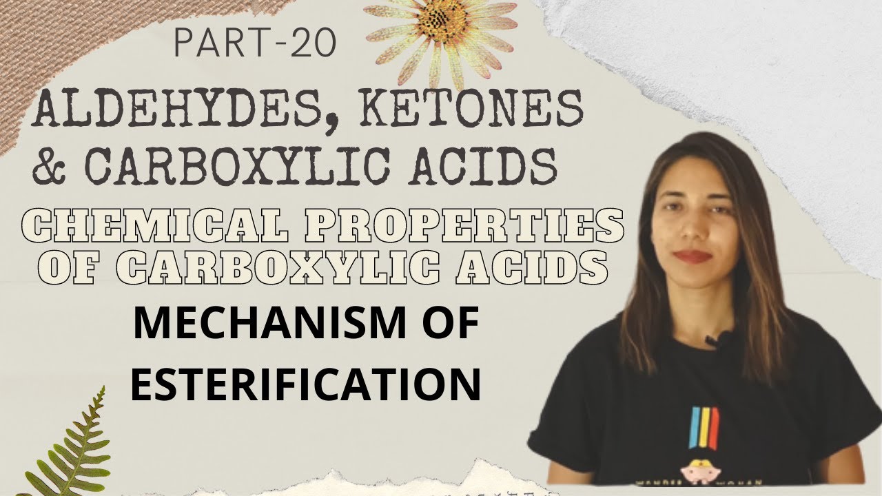 Esterification reaction Mechanism- Class 12 - YouTube