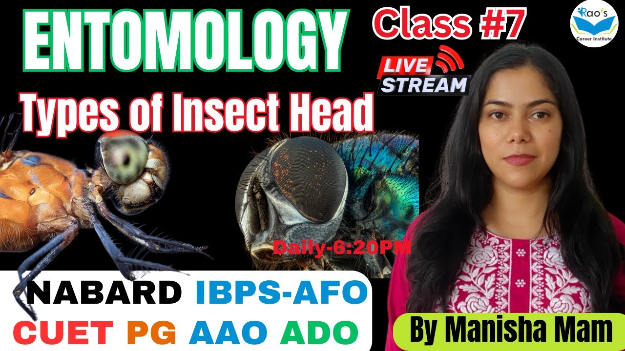 Types of Insect Head || NABARD || IBPS-AFO || NET,JRF || FCI || AAO ...