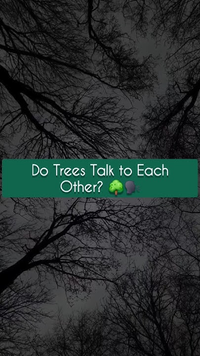 Do Trees Secretly Talk to Each Other? 🌳🗣️ (Mind-Blowing!) #shorts # ...
