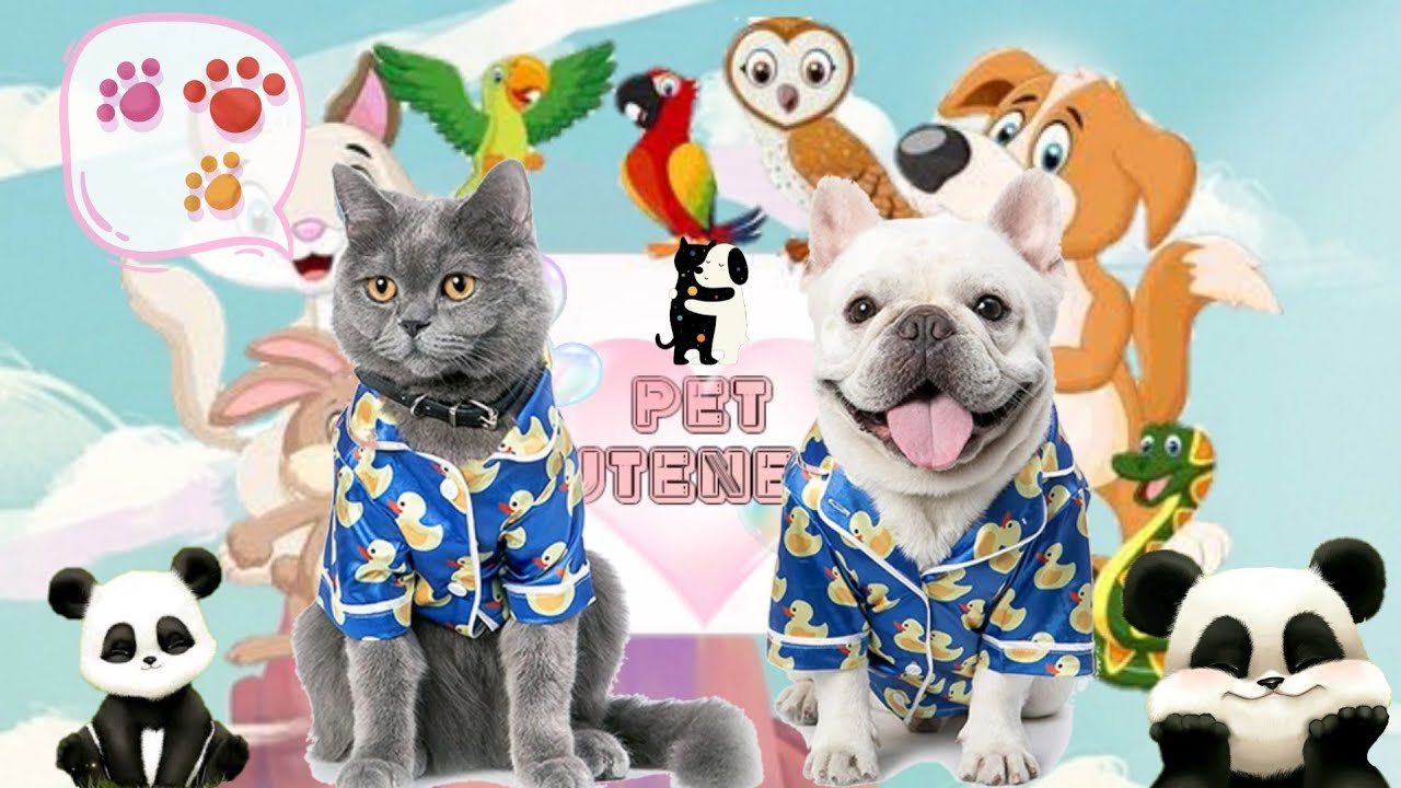 Dog and cat txt | PET CUTENESS part #11 - YouTube