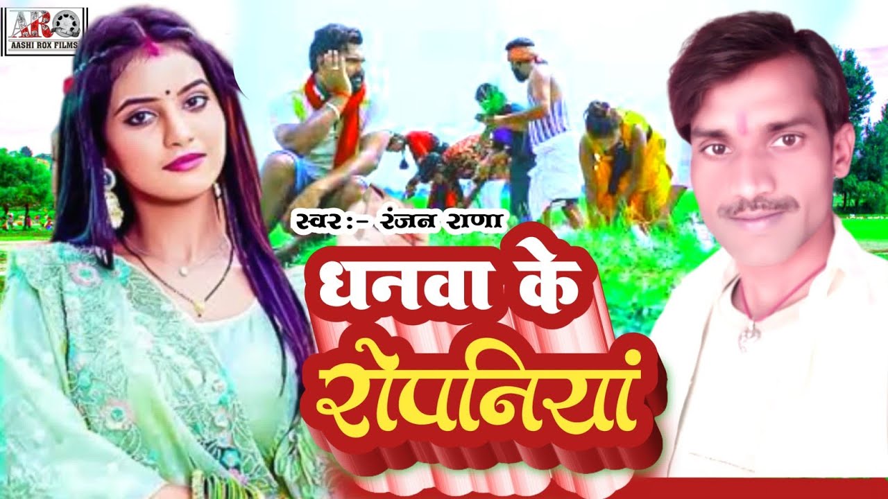 #Ranjan_Rana 2024!! धनवा के रोपनियां!! Dhanwa Ke Ropaniya !! Methli ...