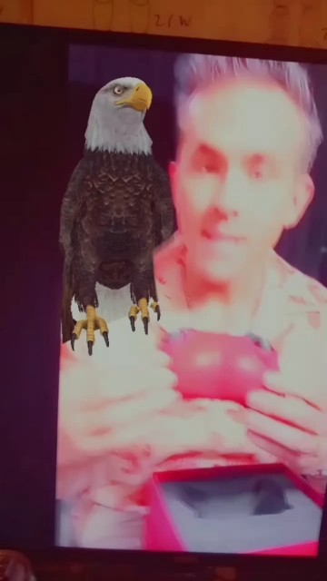 Freedom The Eagle 🦅 #Shorts #YoutubeShorts #SnapChat #Funny #Trending # ...