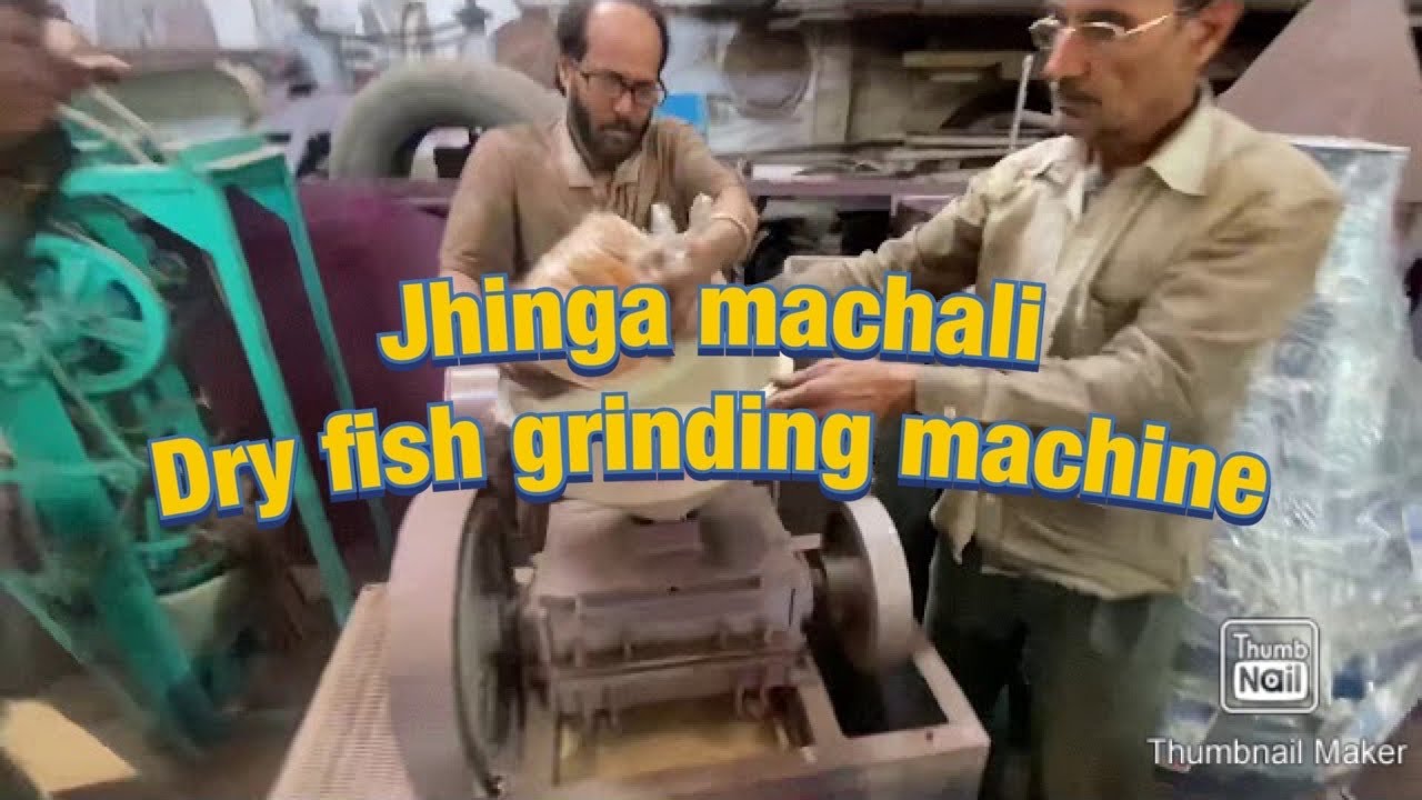 Jhinga machali , Dry fish grinding machine☎️📞📲+91 93292 05352 - YouTube