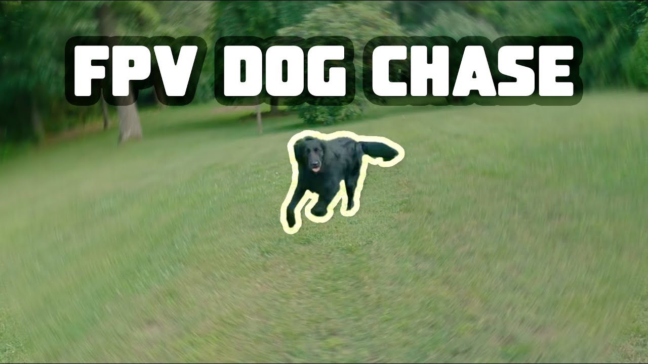 Using my drone to play fetch with my dog - YouTube