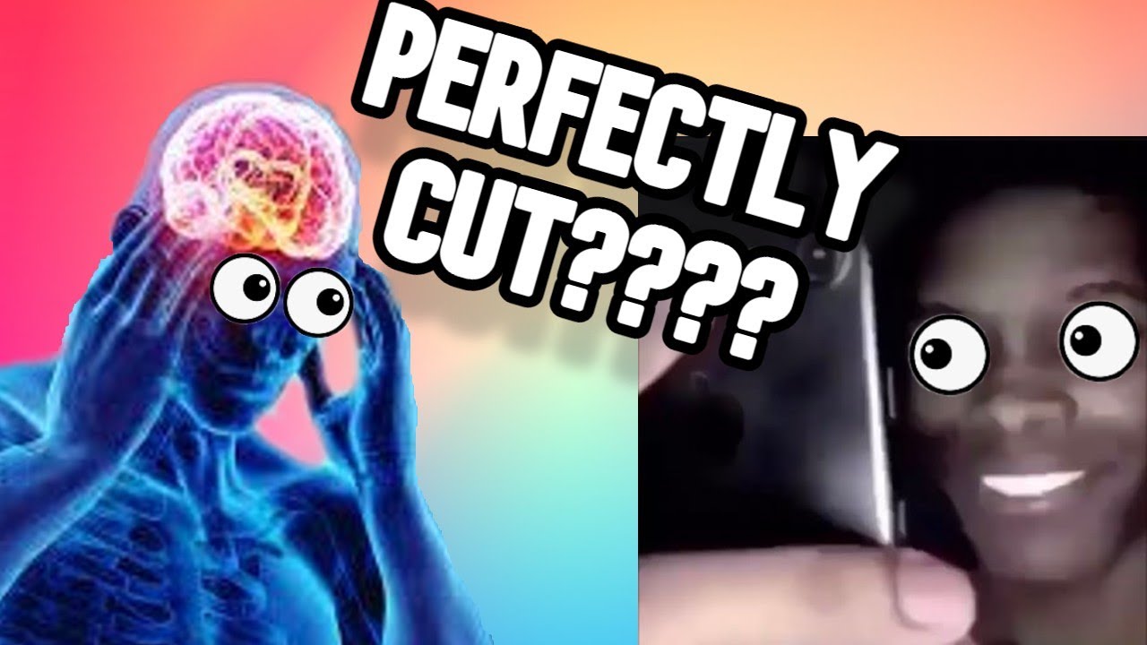 Twitter But With Perfectly Cut Videos - YouTube